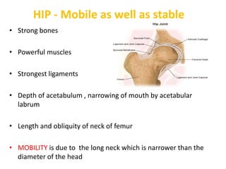 Hip biomechanics | PPTX