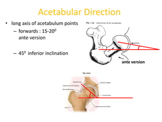 Hip biomechanics | PPTX