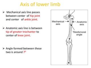 Hip biomechanics | PPTX