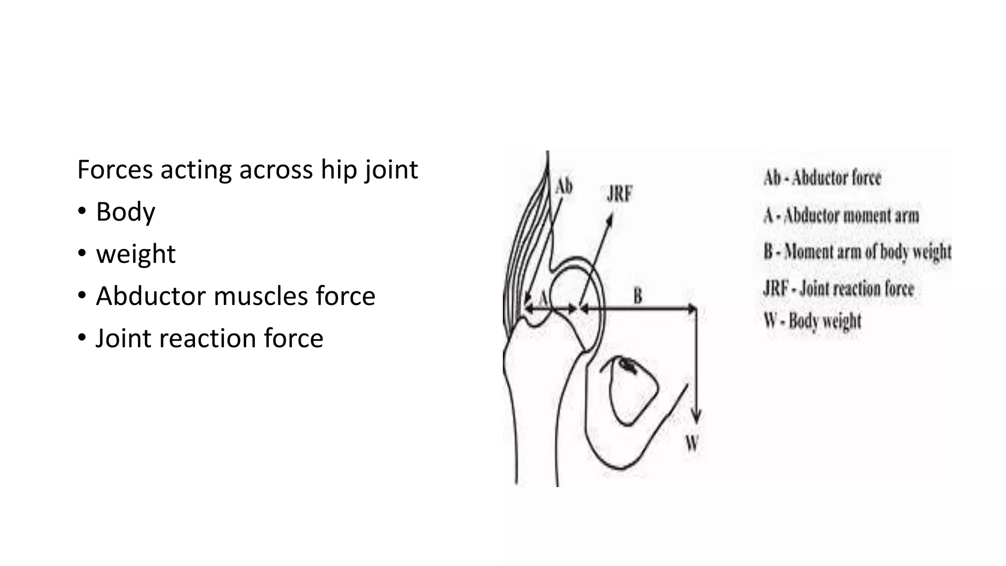 Hip biomechanics | PPTX