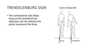 Hip biomechanics | PPTX