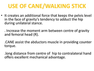 Hip biomechanics | PPTX