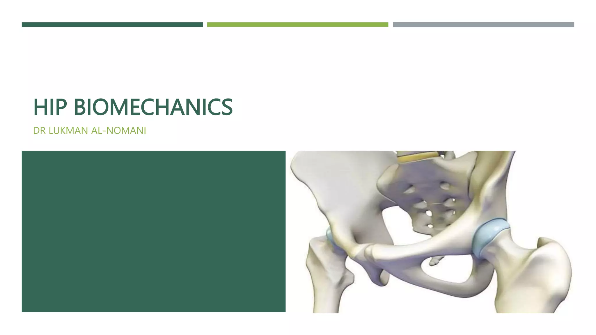Hip Biomechanics.pptx