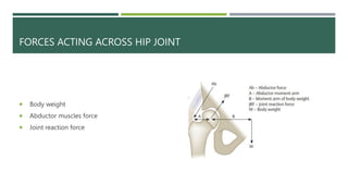 Hip Biomechanics.pptx