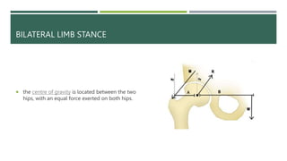 Hip Biomechanics.pptx