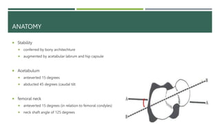 Hip Biomechanics.pptx