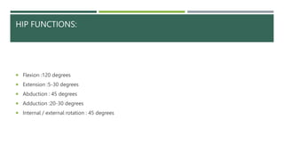 Hip Biomechanics.pptx