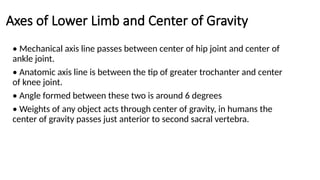 Hip joint anatomy and biomechanics of hip joint | PPTX