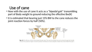 Hip joint anatomy and biomechanics of hip joint | PPTX