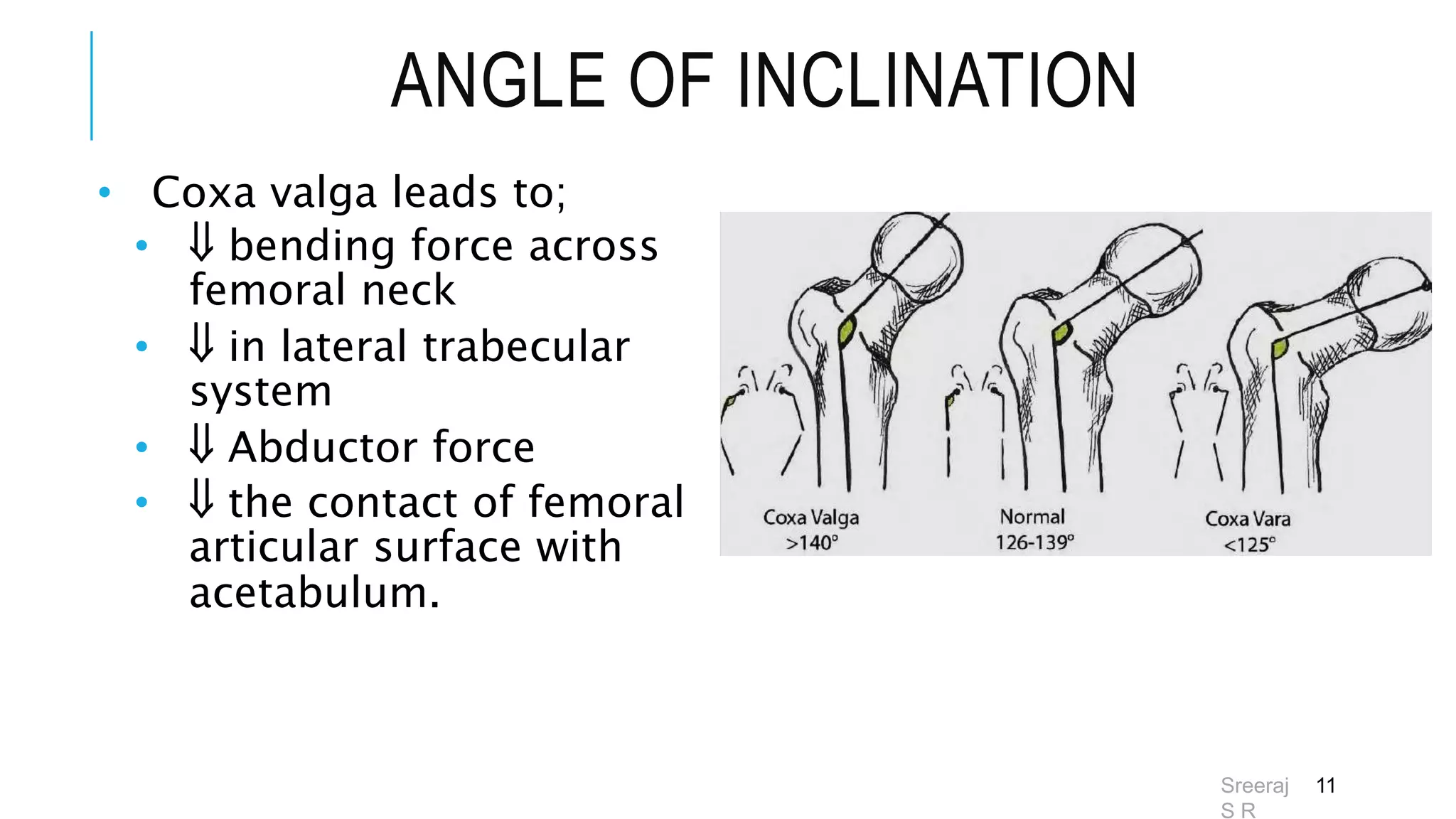 Hip Biomechanics SRS | PPT