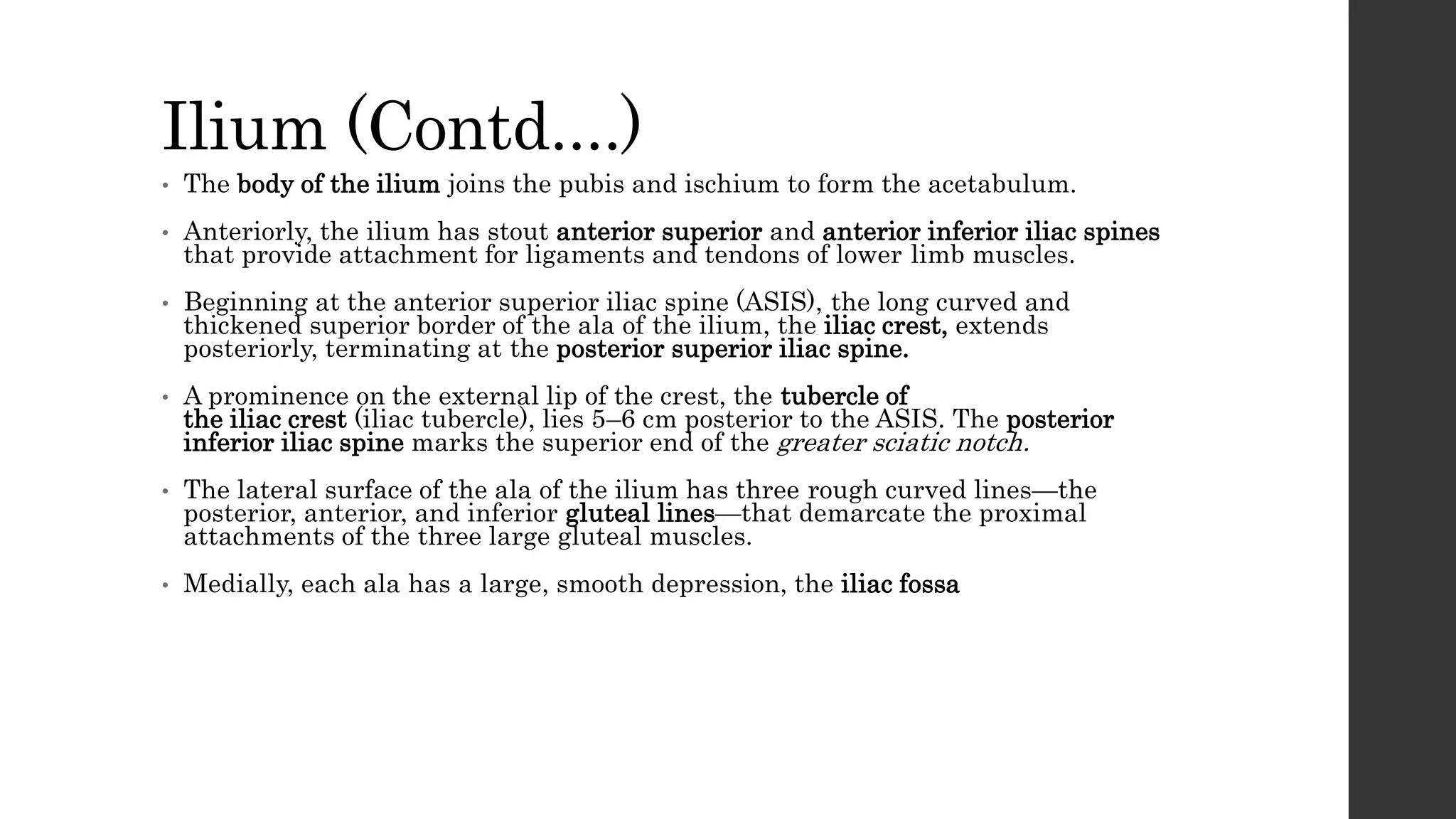 Hip bone (Gross Anatomy) | PPTX