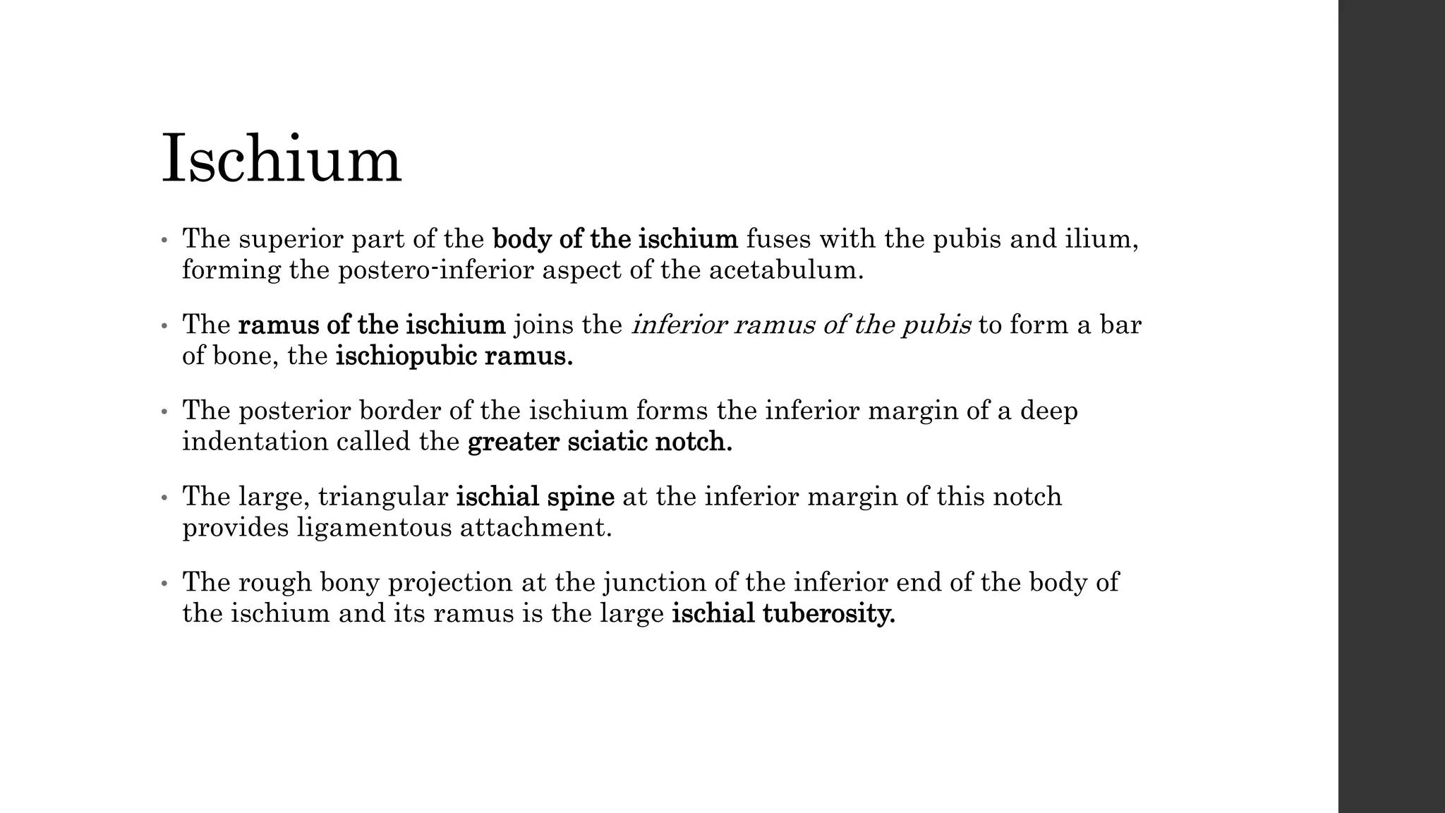 Hip bone (Gross Anatomy) | PPTX