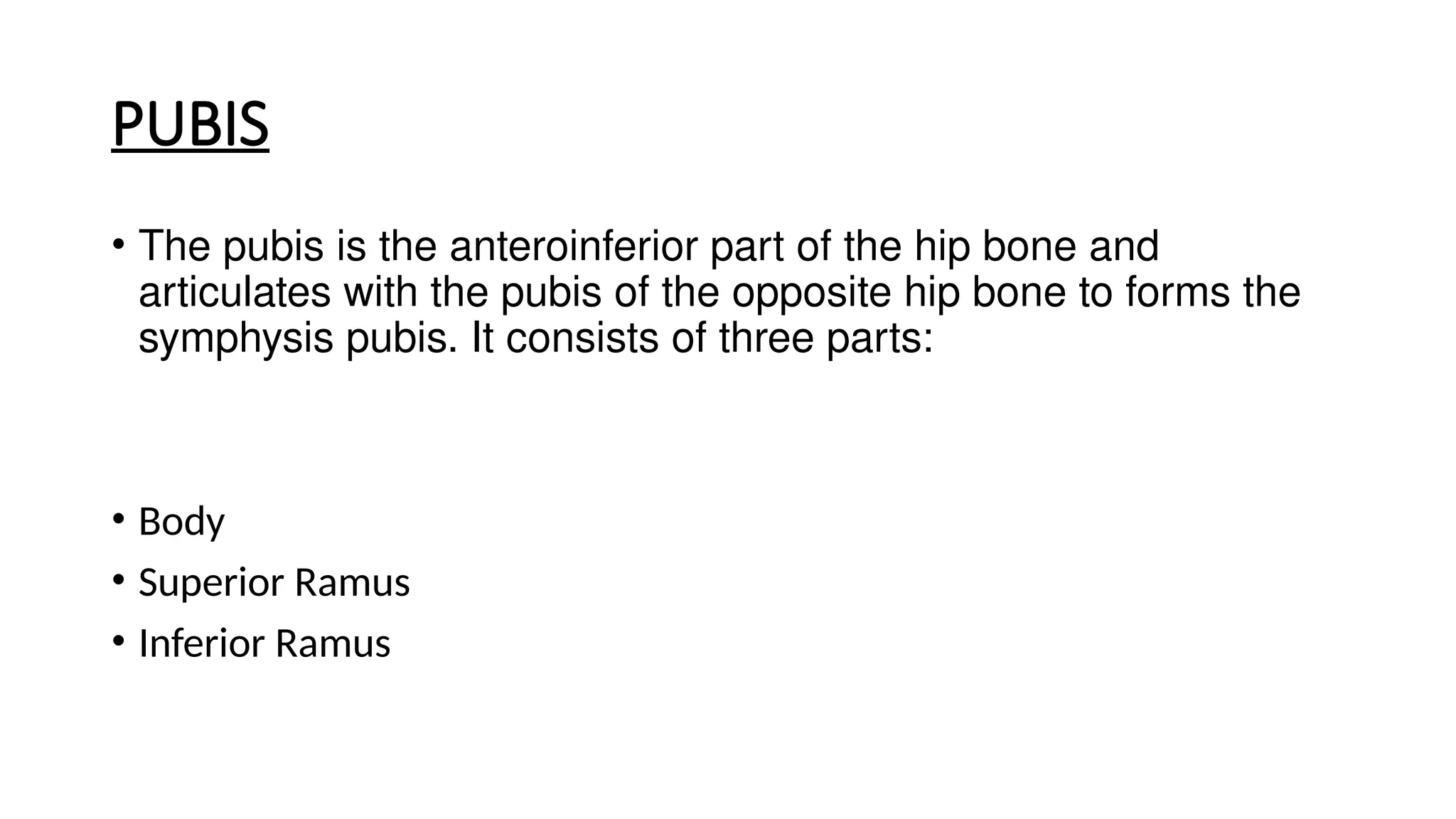 Hip bone anatomy presentation by Dr Ila kinra | PPTX