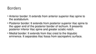 Hip bone anatomy presentation by Dr Ila kinra | PPTX