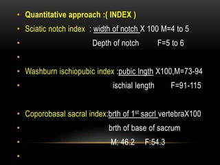 Hip bone and Its Medicolegal Importance | PPTX
