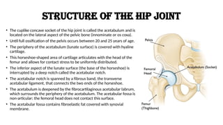 BIOMECHANICS & KINESIOLOGY OF THEHIP COMPLEX.pptx