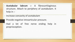 Hip complex Biomechanics | PPTX