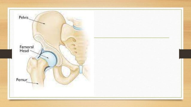 Hip complex Biomechanics | PPTX