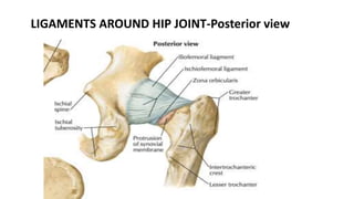 Hip dislocation | PPTX