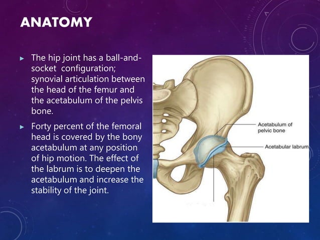 Hip Dislocation PPT FINAL.pptx