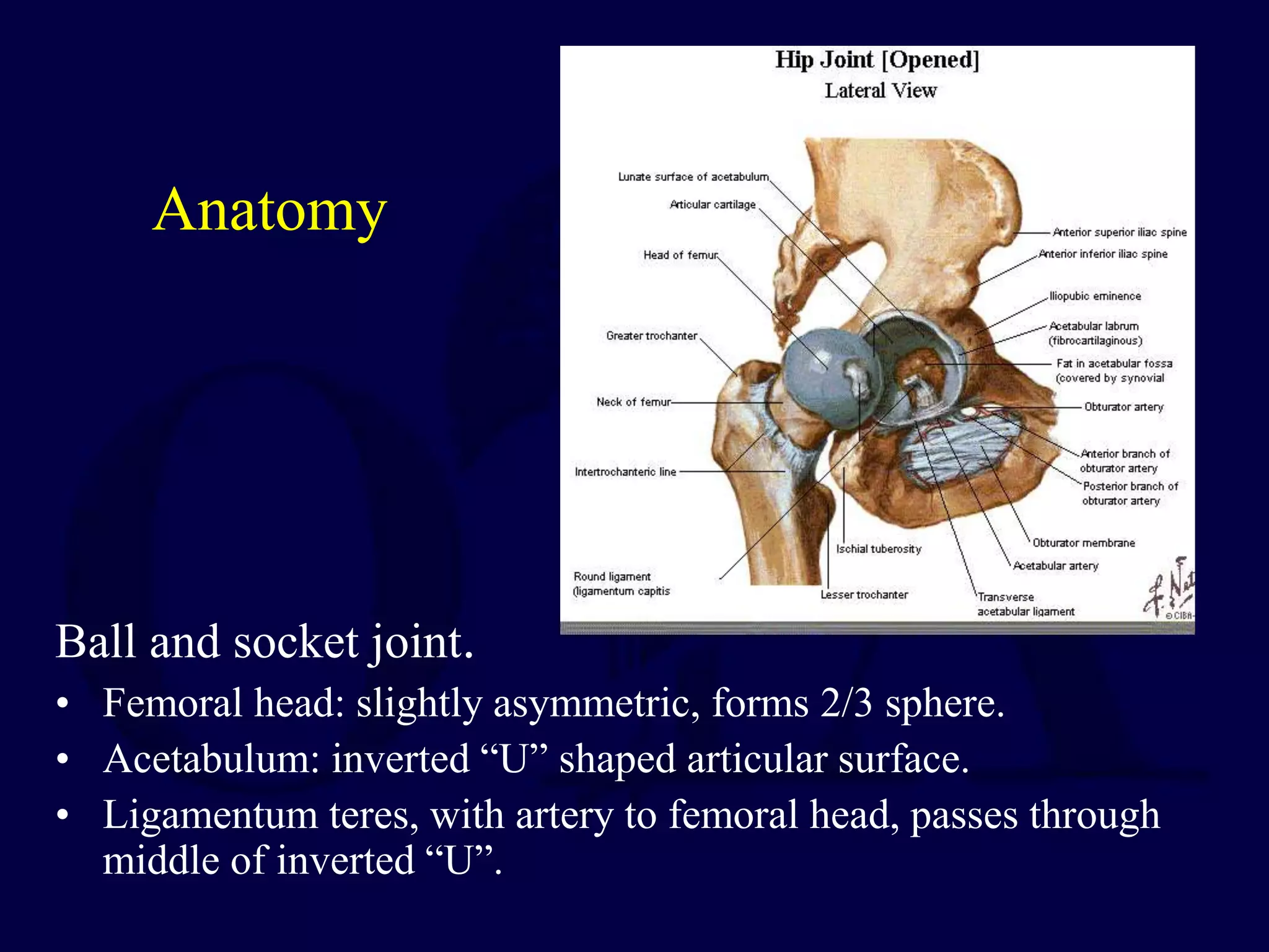 Hip dislocations and femoral head fractures | PPT