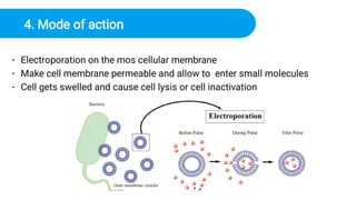 HIPEF- High Intensity pulsed electric field | PPT