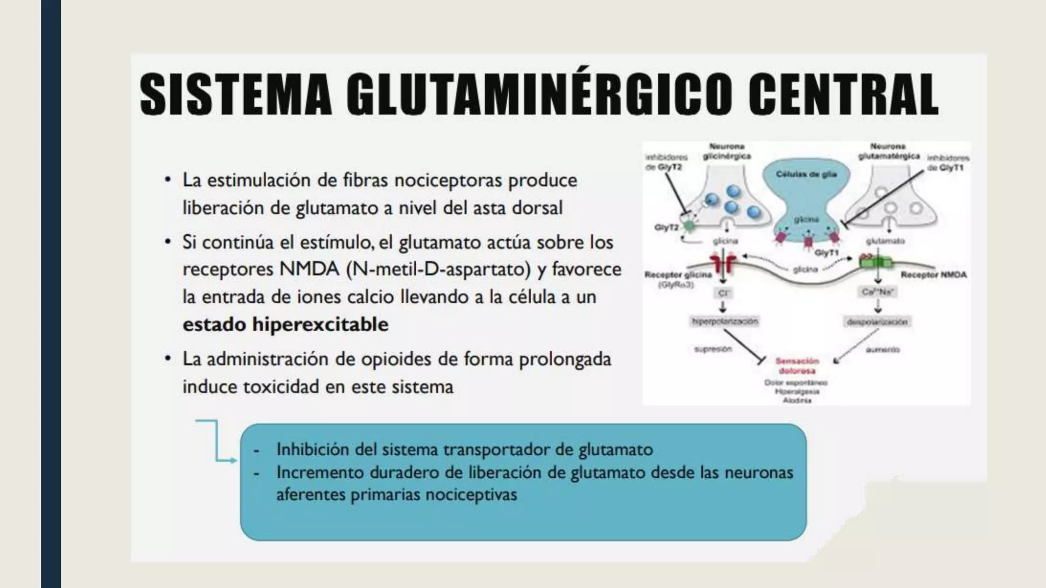 Hiperalgesia, tolerancia, adicción y pseudoadicción.pptx