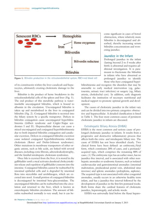 Hiperbilirrubinemia directa | PDF