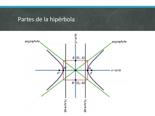 Cuales Son Los Elementos De La Hiperbola - slingo