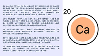 HIPERCALCEMIA E HIPOCALCEMIA y metabólismo del calcio | PDF