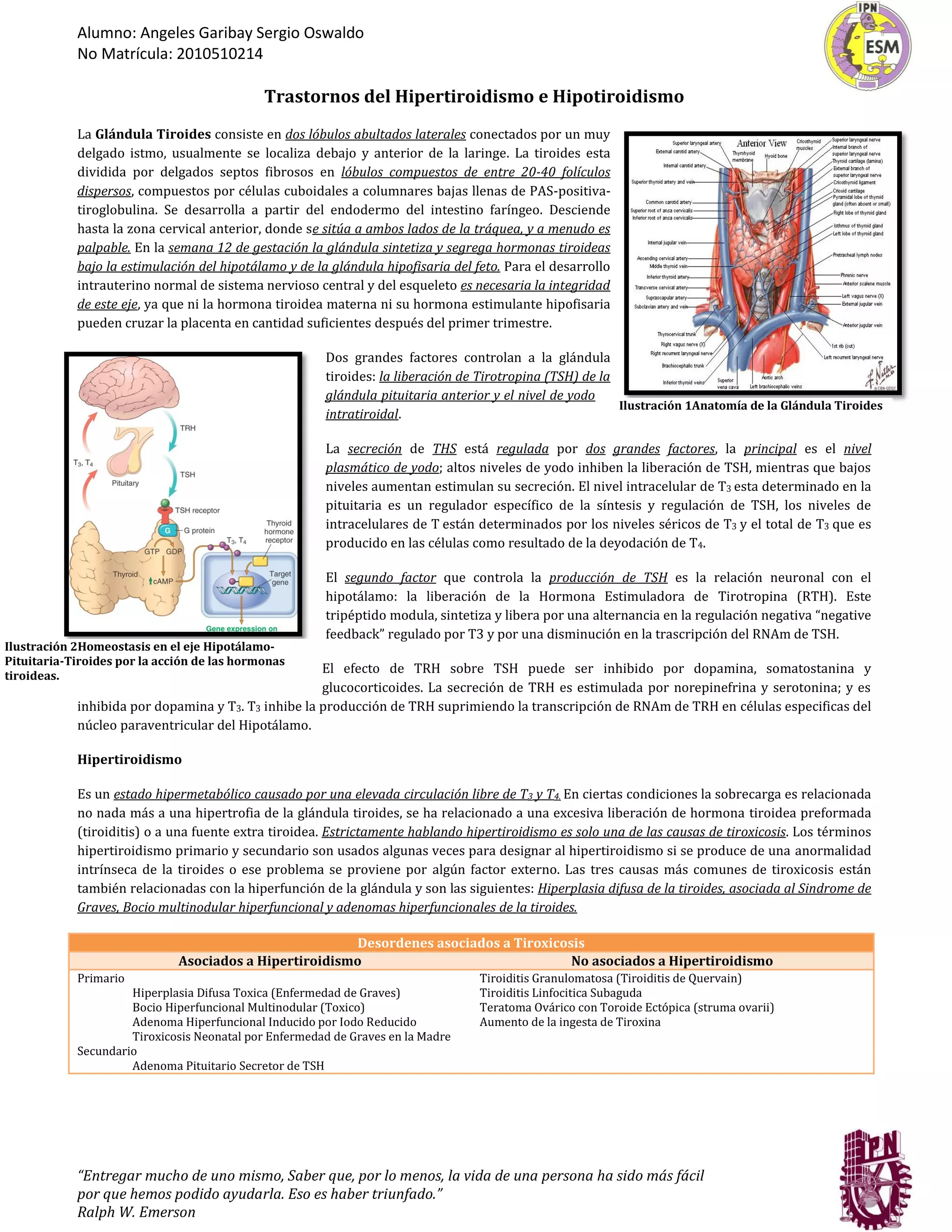 Hiper e hipotiroidismo y ciclos menstruales | PDF