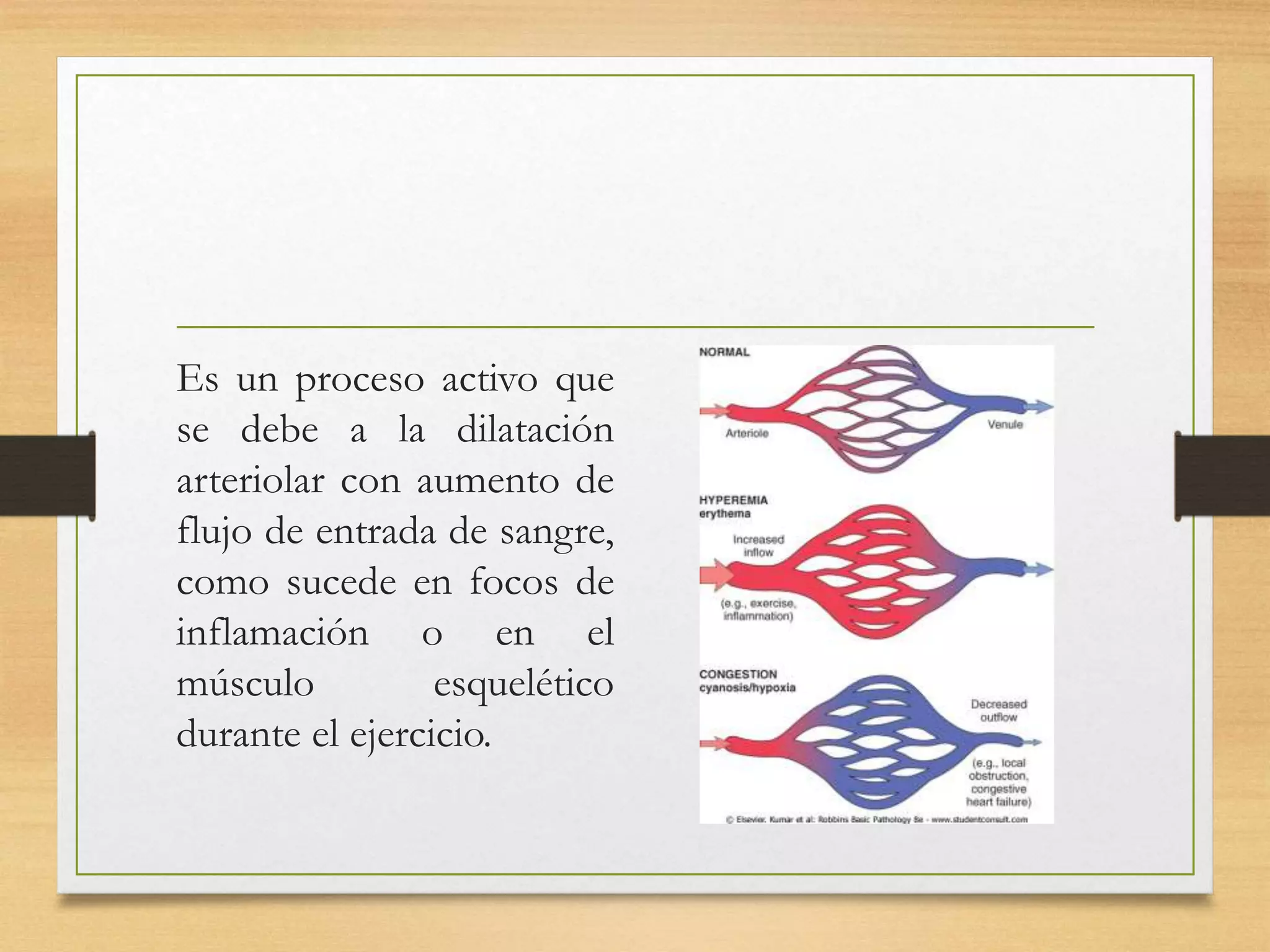 Hiperemia | PPTX | Blood Disorders | Diseases and Conditions