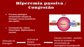 Alteração circulatória: Hiperemia ativa e passiva | PDF