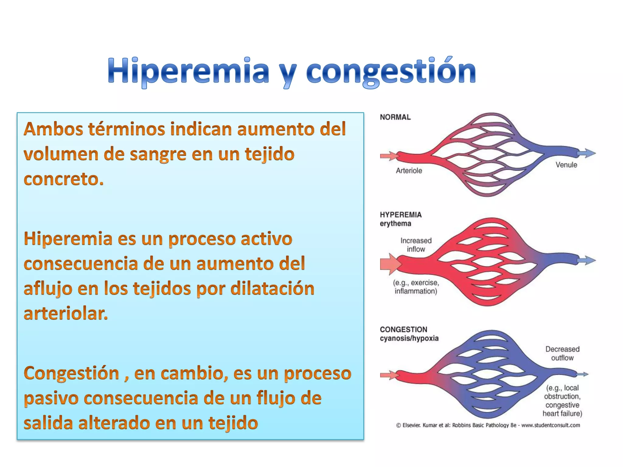 Hiperemia y congestión | PPTX | Death, Injury, or Military Conflict ...