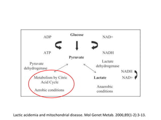 Hiperlactatemia | PPTX