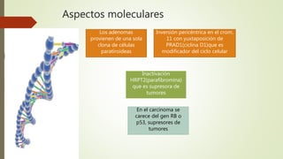 Hiperparatiroidismo Endocrinologia | PPTX