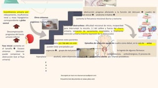 hiperplasia-de-prost-589365-download.jujuj | PPT