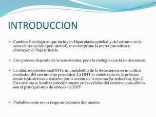 Hiperplasia Prostática Benigna Urologia. | PDF