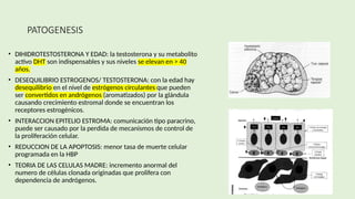 HIPERPLASIA BENIGNA DE PROSTATA actualizado.pptx