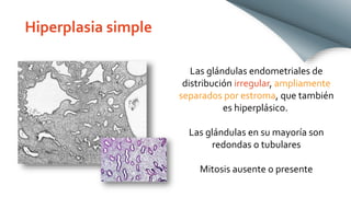 Hiperplasia endometrial | PPTX