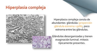 Hiperplasia endometrial | PPTX