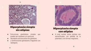 HIPERPLASIA ENDOMETRIAL Y CANCER DE ENDOMETRIO (2).pptx