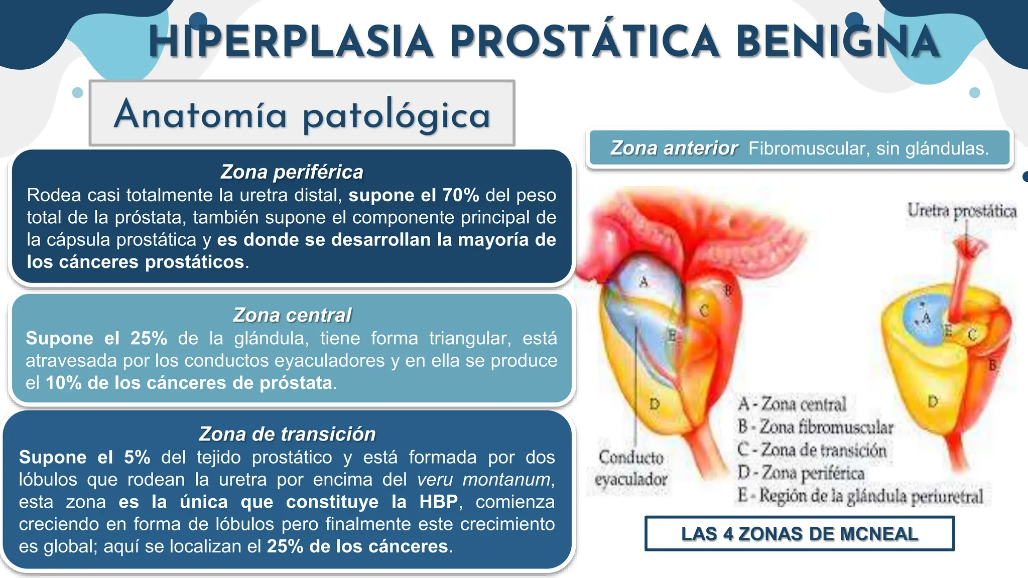 hiperplasia_prostatica_benigna_todos.pptx | Medical Health