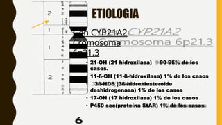 hiperplasiasuprarrenalcongenita_endocrinologia.ppt