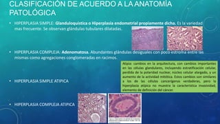 Hiperplasia y carcinoma endometrial | PPTX