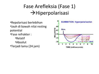 Hiperpolarisasi neuron sebagai patofisiologi fase arefleksia pada lesi ...