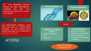 Hipersensibilidad tipo 1 | PPTX
