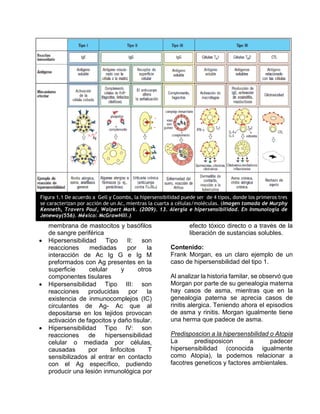 Hipersensibilidad del tipo 1 | PDF