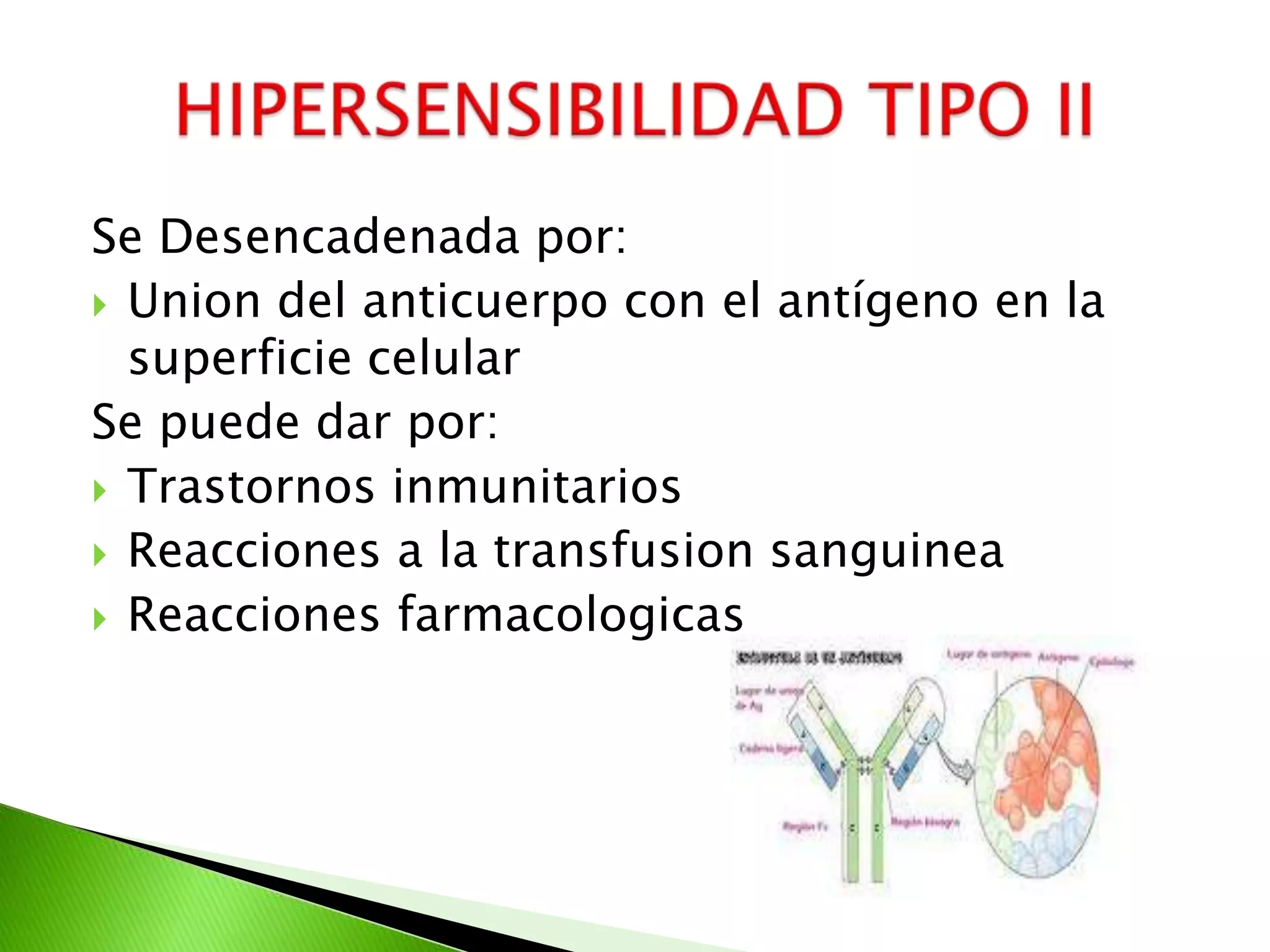 Hipersensibilidad tipo ii[1] | PPT