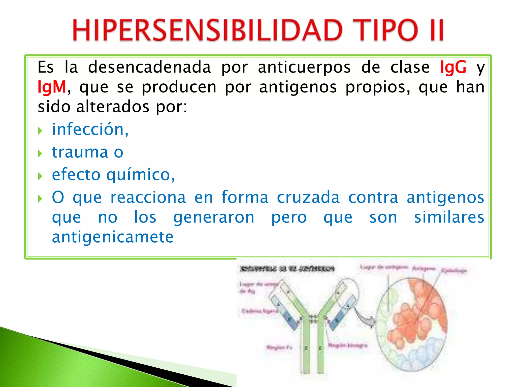 Hipersensibilidad tipo ii[1] | PPT